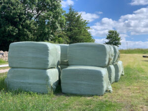 Økowrap & hø – Økologisk wrap & hø til konve